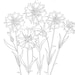 Purple Coneflower Flower Coloring Page - Etsy