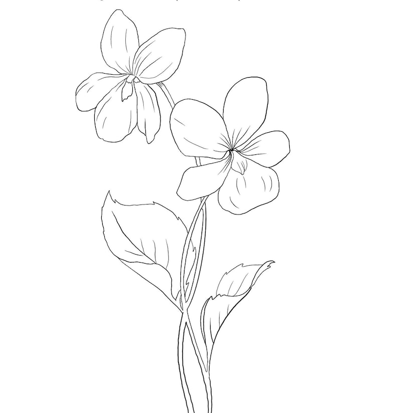 Violet Flower Coloring Page - Etsy