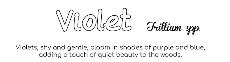 Violet Flower Coloring Page - Etsy