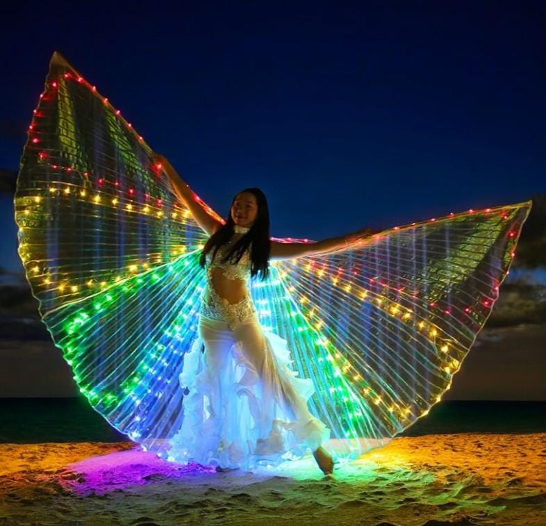 Light up Butterfly Wing, Dancing Costume, Festival Cloak, Butterfly Wings, Dancer Gift, One Size ...