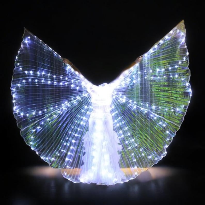 Light up Butterfly Wing, Dancing Costume, Festival Cloak, Butterfly ...