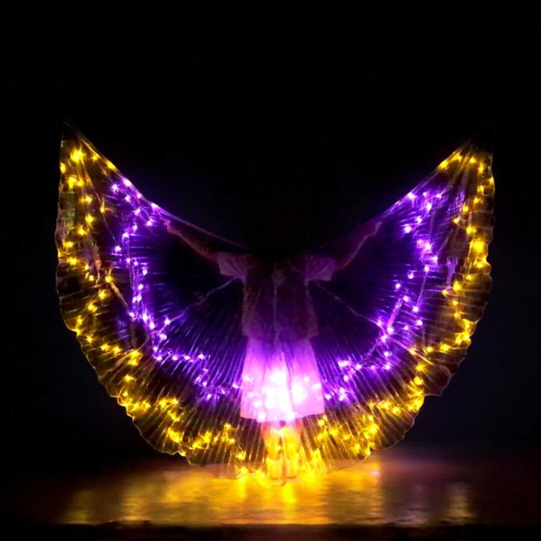 LED Wings, Light up Dance Wings, Butterfly Belly Dance Wings, Festival ...