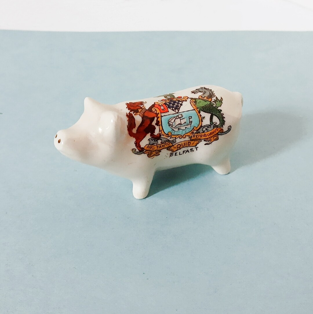Carlton China Pig W & R Stoke on Trent Crested With Belfast - Etsy