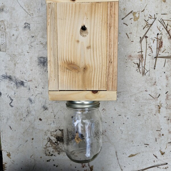 Carpenter Bee Trap - Etsy