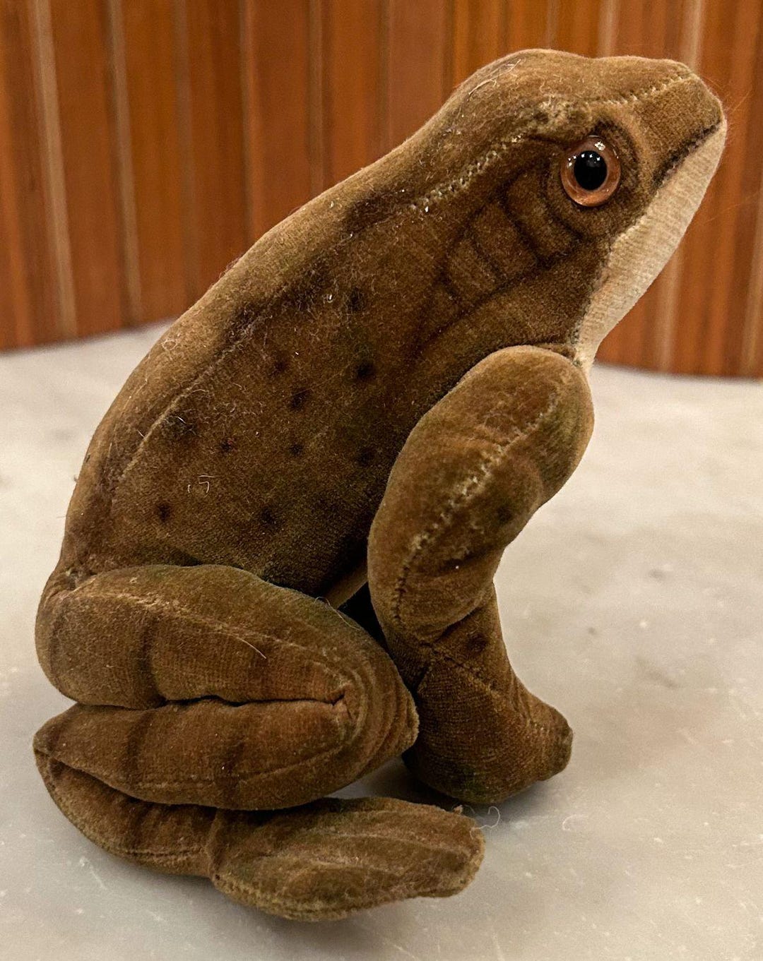 Steiff Vintage Soft Frog Toad Collectible Collector Germany - Etsy