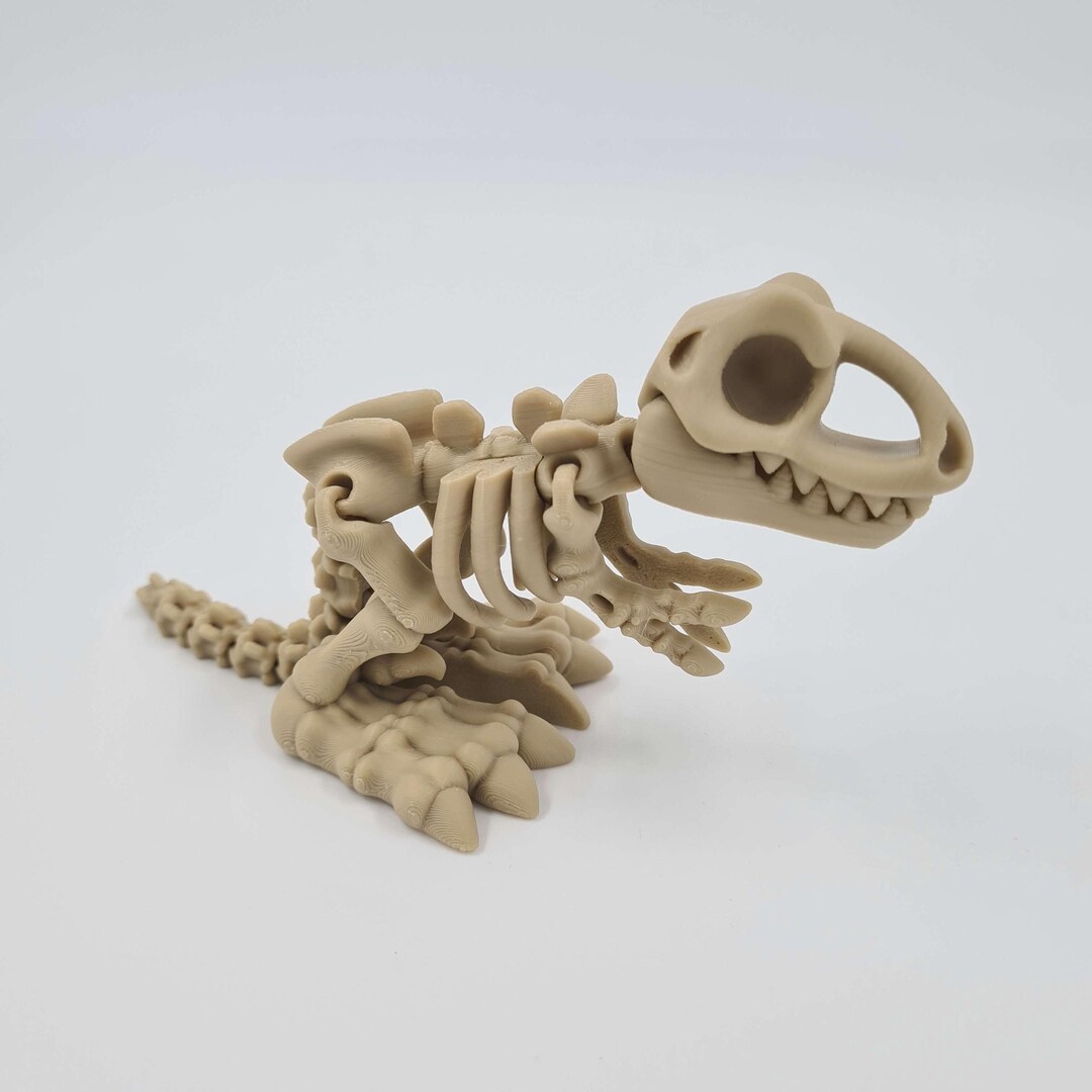 Skeleton T-rex Dinosaur – 3D Printed Articulated Toy | Flexi Fidget ...