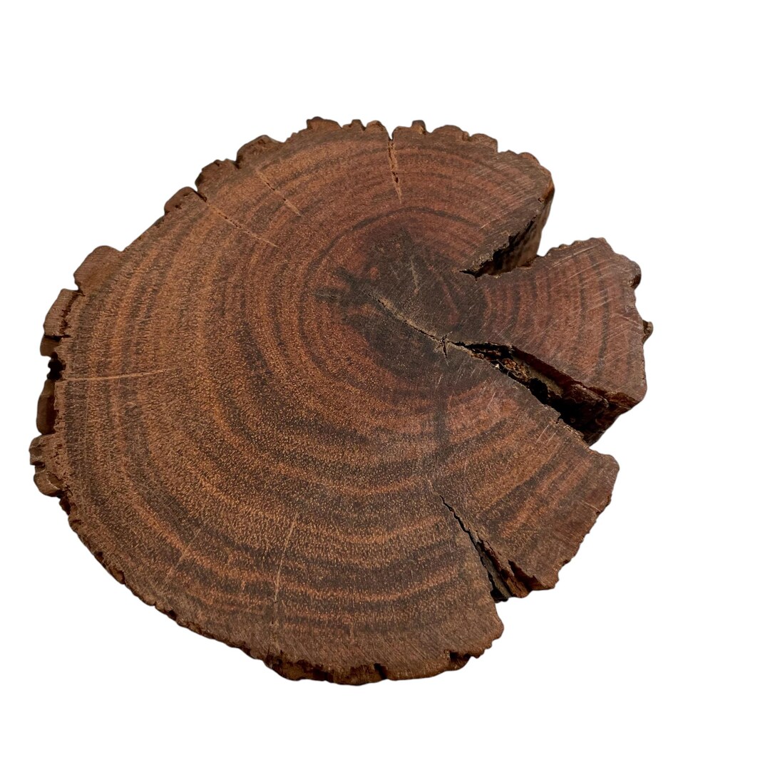Natural Solid Wood Base for Display - Perfect for Tea Cups, Jewelry ...