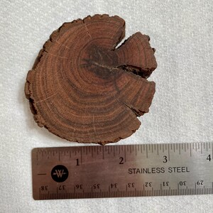 Natural Solid Wood Base for Display - Perfect for Tea Cups, Jewelry ...