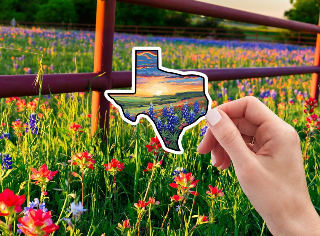 Texas State Vinyl Sticker: Colorful Texas Landscape Decal - Etsy