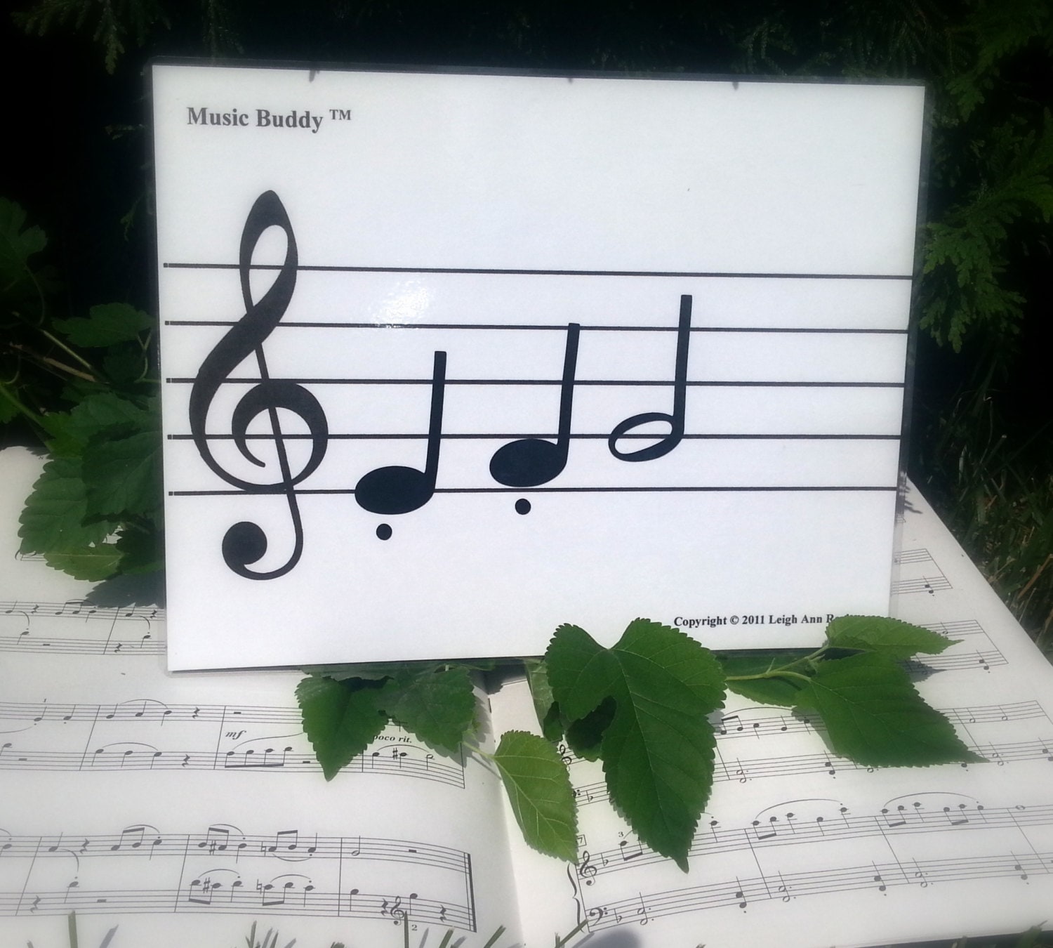 Music Buddy is a Hands-on Musical Note Teaching Aid. Makes Reading ...