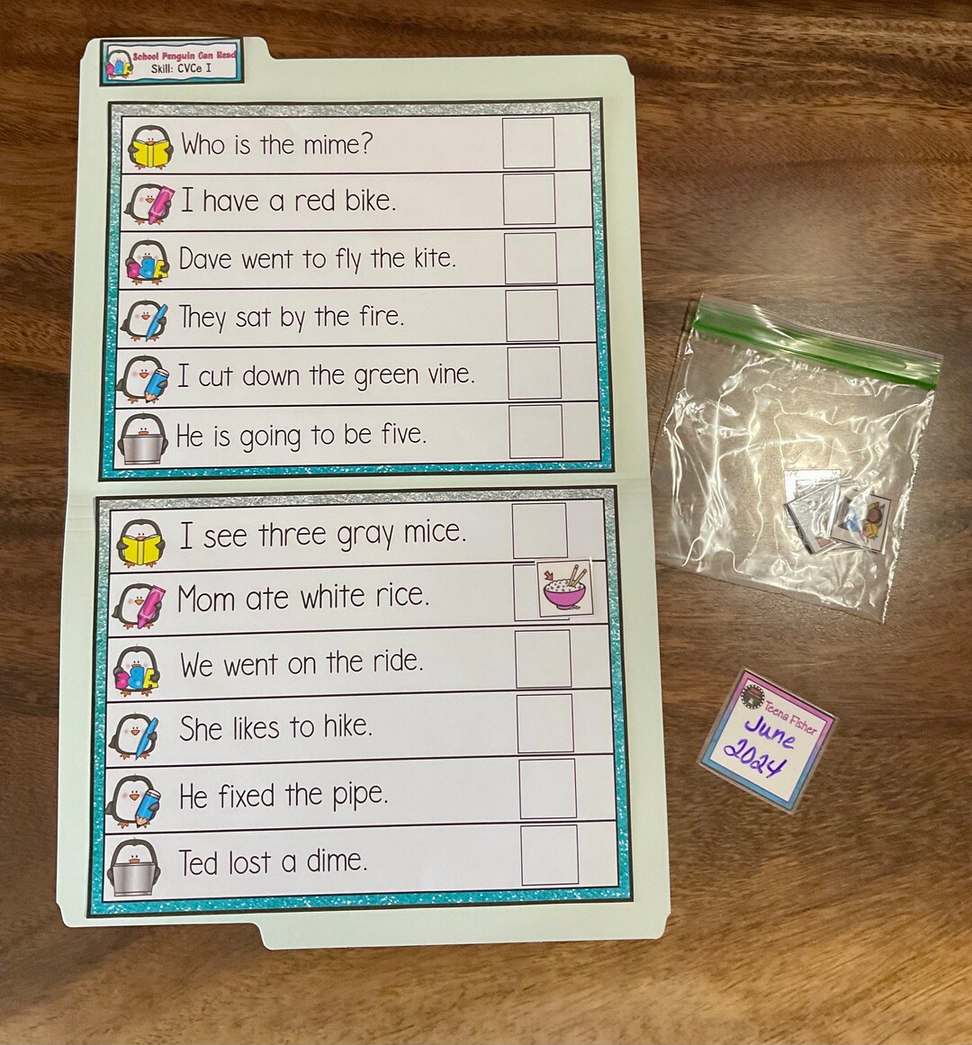 School Penguin Can Read Cvce Long I Sentences Word Families Phonics ...