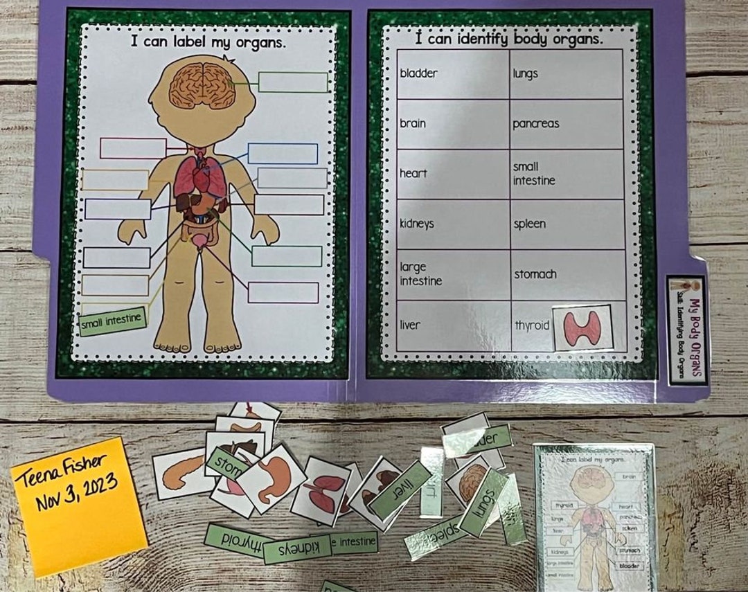 My Body Systems Human Anatomy Science File Folder Game Task Activity ...