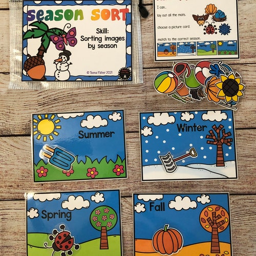 Animal Emotions Sort Task Box Cards Preschool Busy Bag - Etsy