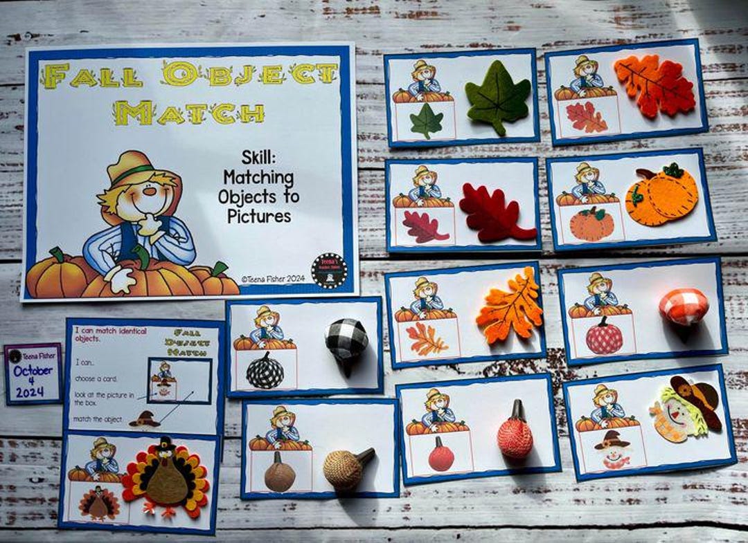 Fall Object Identical Picture Matching Visual Discrimination Task Box ...