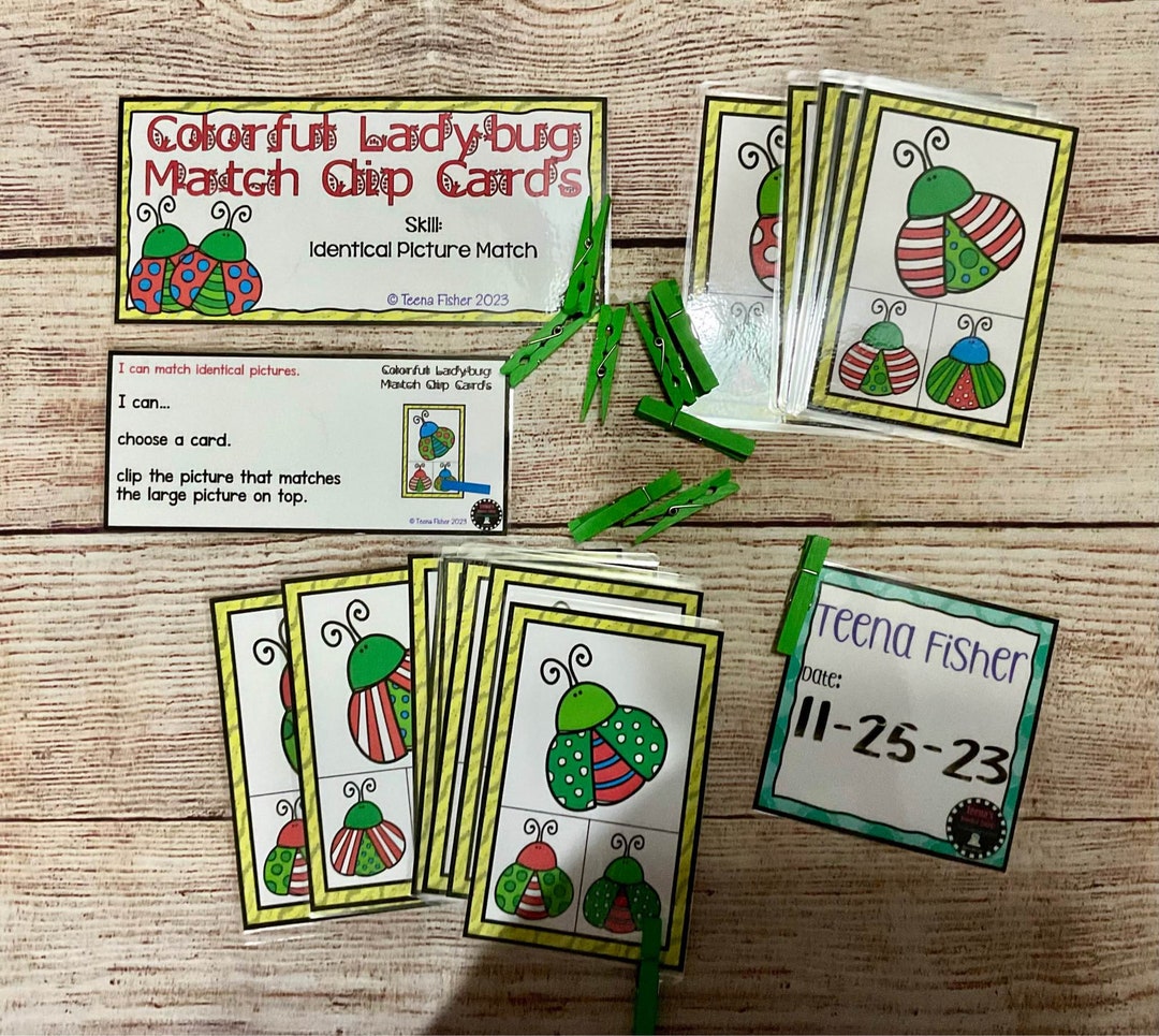 Colorful Ladybugs Identical Picture Matching Visual Discrimination Task ...