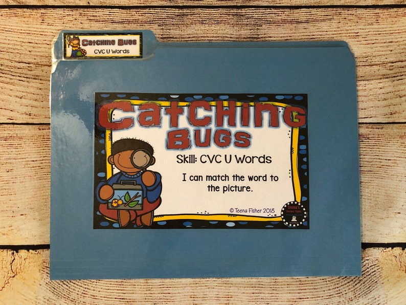 Catching Bugs CVC Words Short U Phonics File Folder Game - Etsy