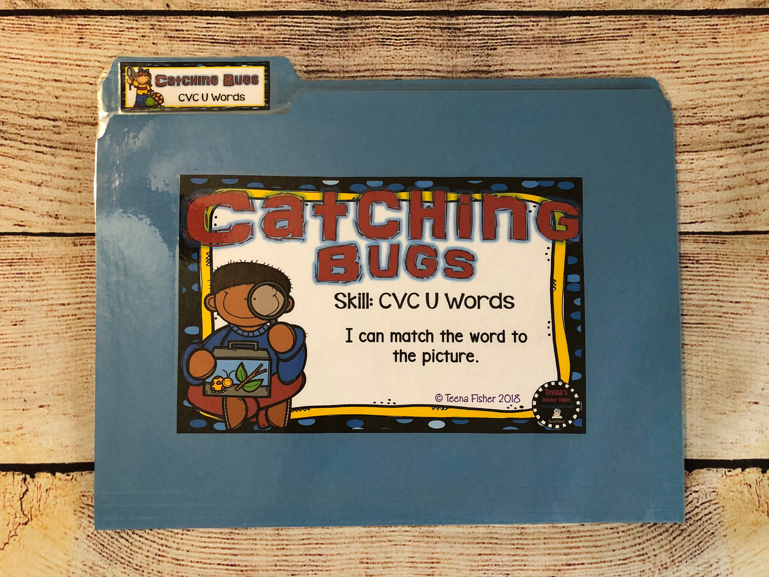 Catching Bugs CVC Words Short U Phonics File Folder Game Literacy ...