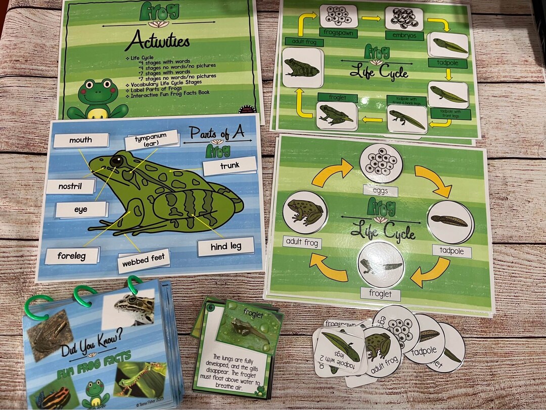 Frog Life Cycle Activity Bundle Ready to Play Activity Task - Etsy