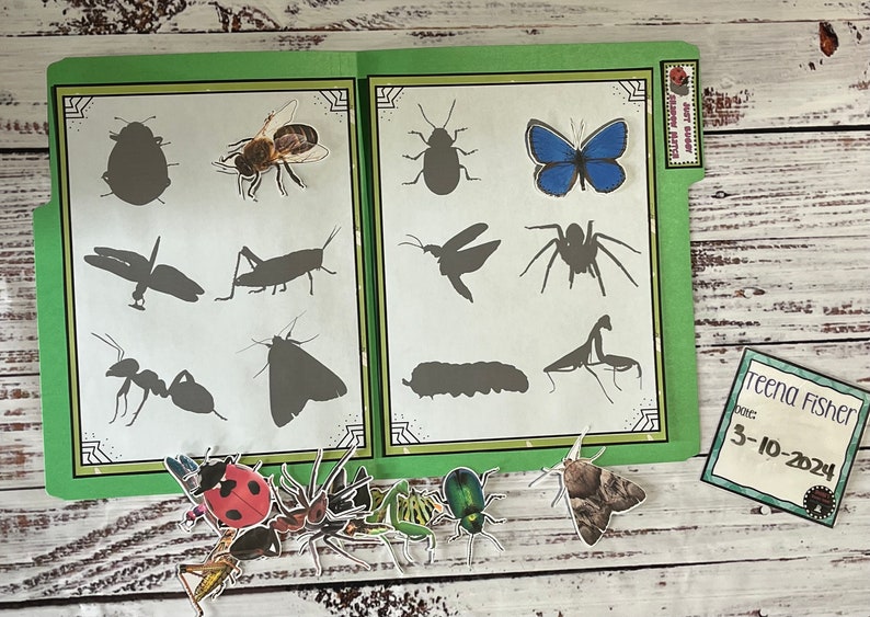 Just Buggy Spring Shadow Match File Folder Game Pre-k Visual ...