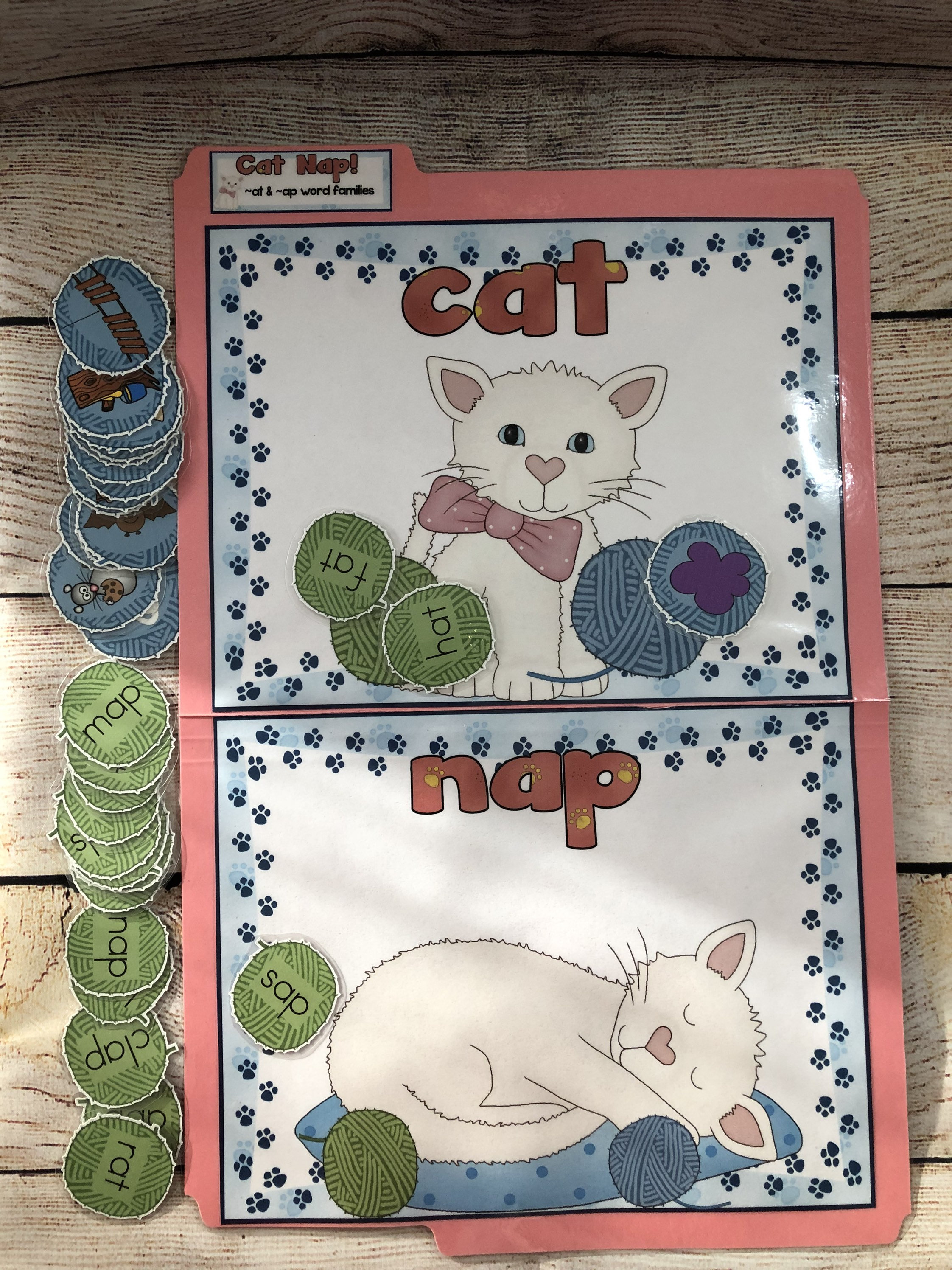 Cat Nap CVC Short A Ap/at Word Families Phonics Sort & Match - Etsy