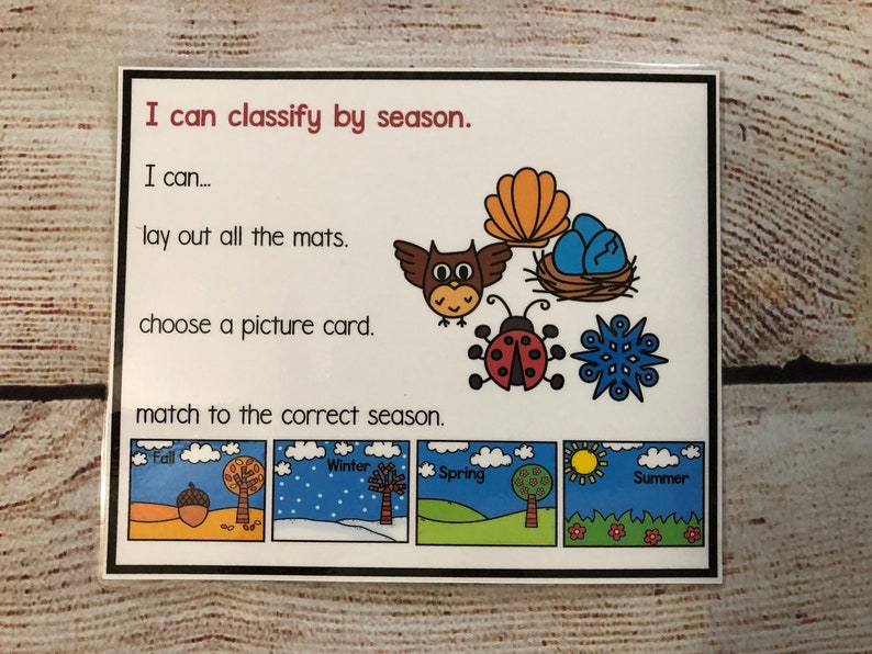 Season Sort Task Box Cards Preschool Busy Bag Classification - Etsy