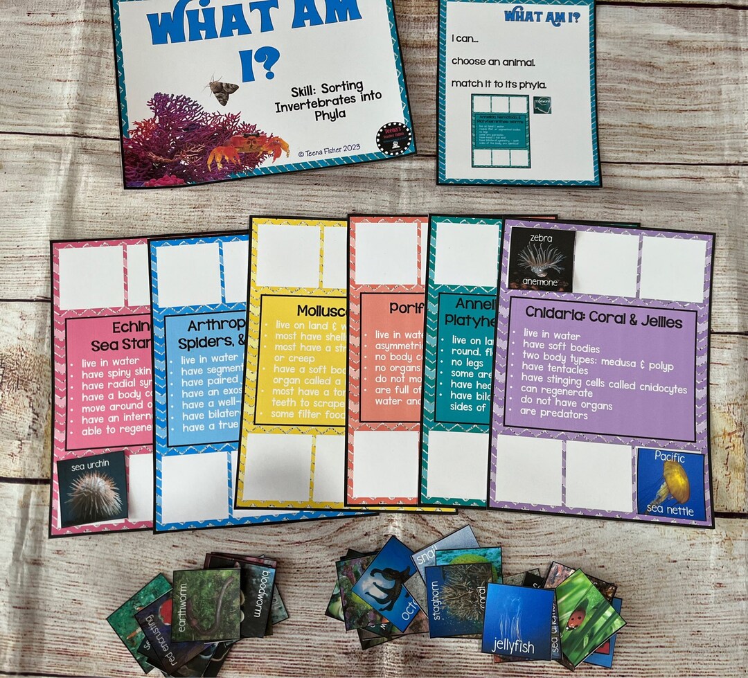 Science What Am I? Invertebrate Class Phyla Sort Ready to Play Activity ...