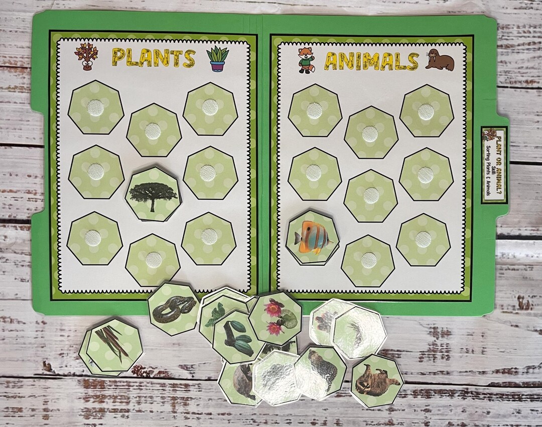 Plants or Animals Sort Science File Folder Game Task Activity Busy Bag ...