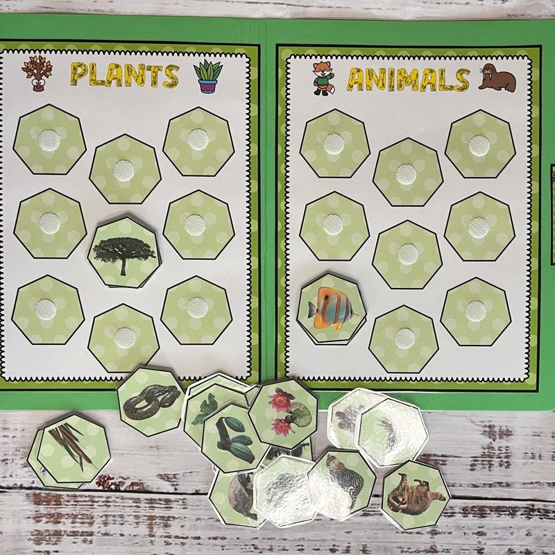 TeenasTeacherTidbits - Etsy