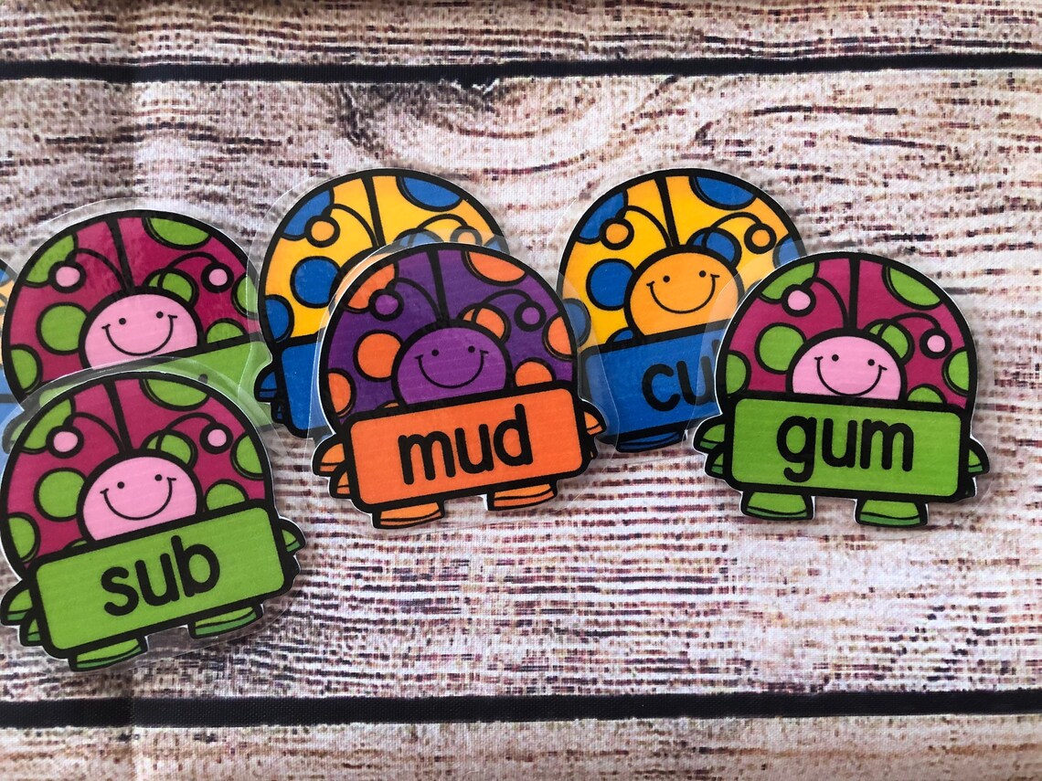 Catching Bugs CVC Words Short U Phonics File Folder Game | Etsy