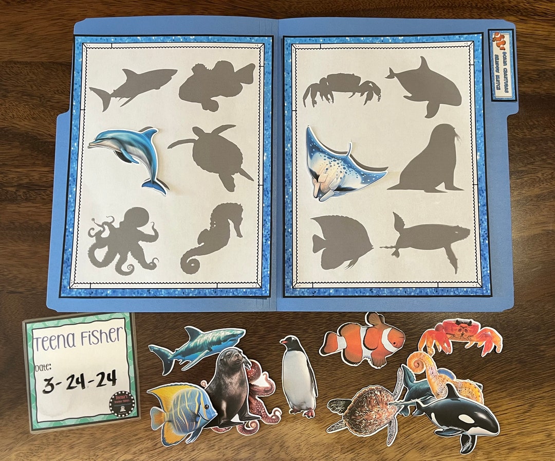 Ocean Creatures Shadow Match File Folder Game Pre-k Visual ...