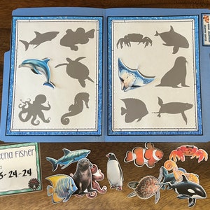 Ocean Creatures Shadow Match File Folder Game Pre-k Visual ...