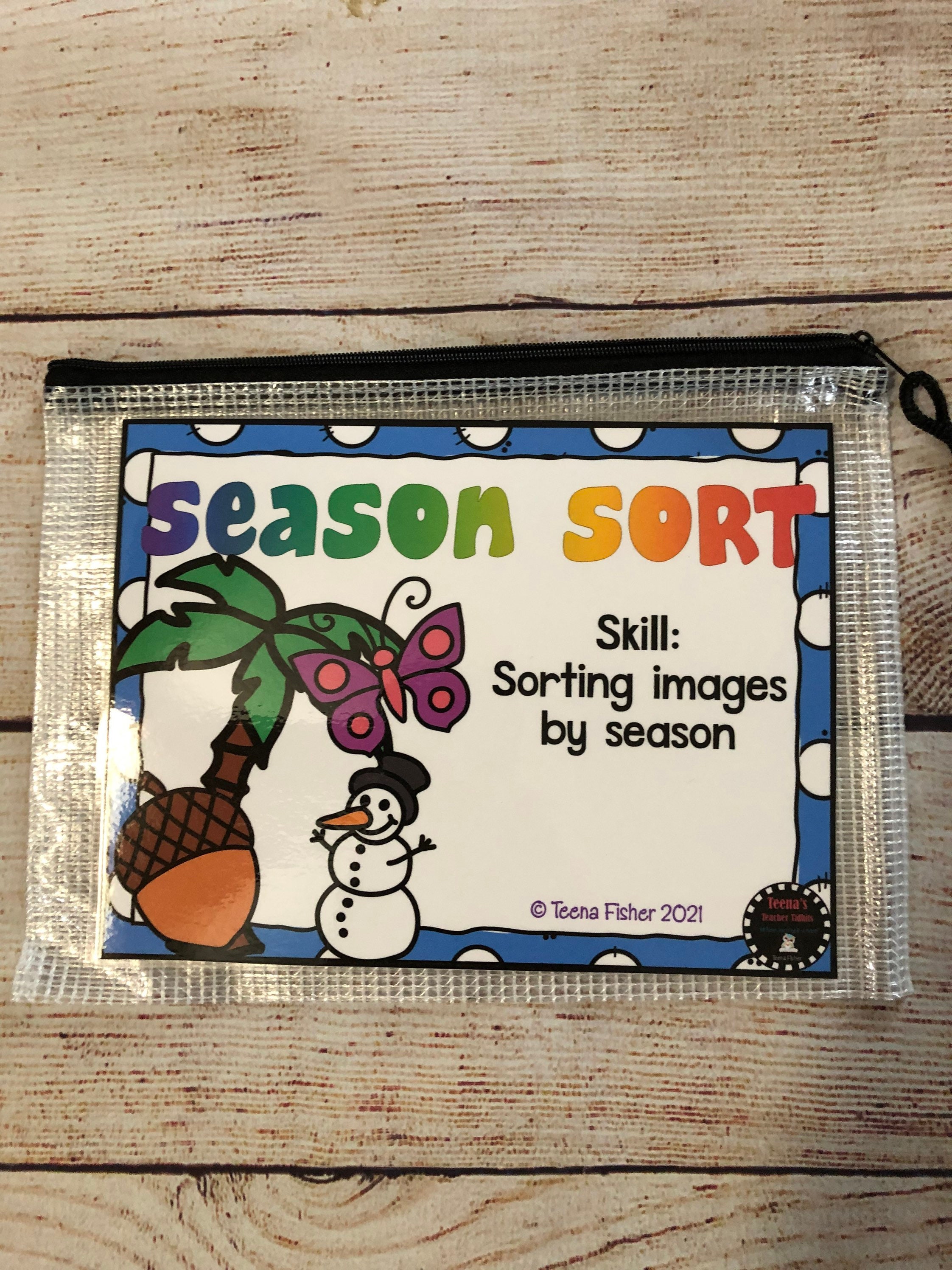 Season Sort Task Box Cards Preschool Busy Bag Classification Sorting - Etsy