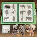 Zoo Animals Shadow Match File Folder Game Pre-k Visual Discrimination ...