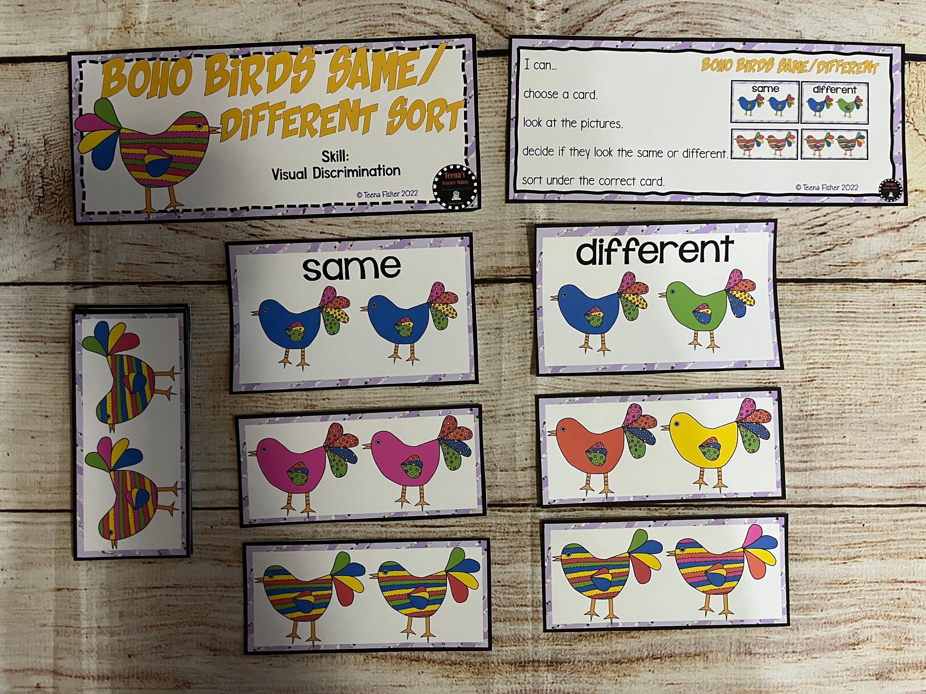 Boho Birds Sorting Same Different Visual Discrimination Task Box Busy ...