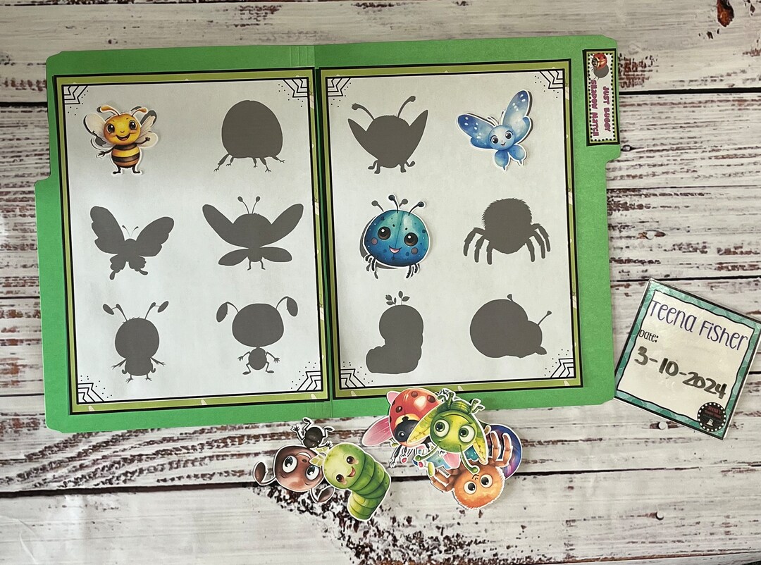 Just Buggy Spring Shadow Match File Folder Game Pre-k Visual ...