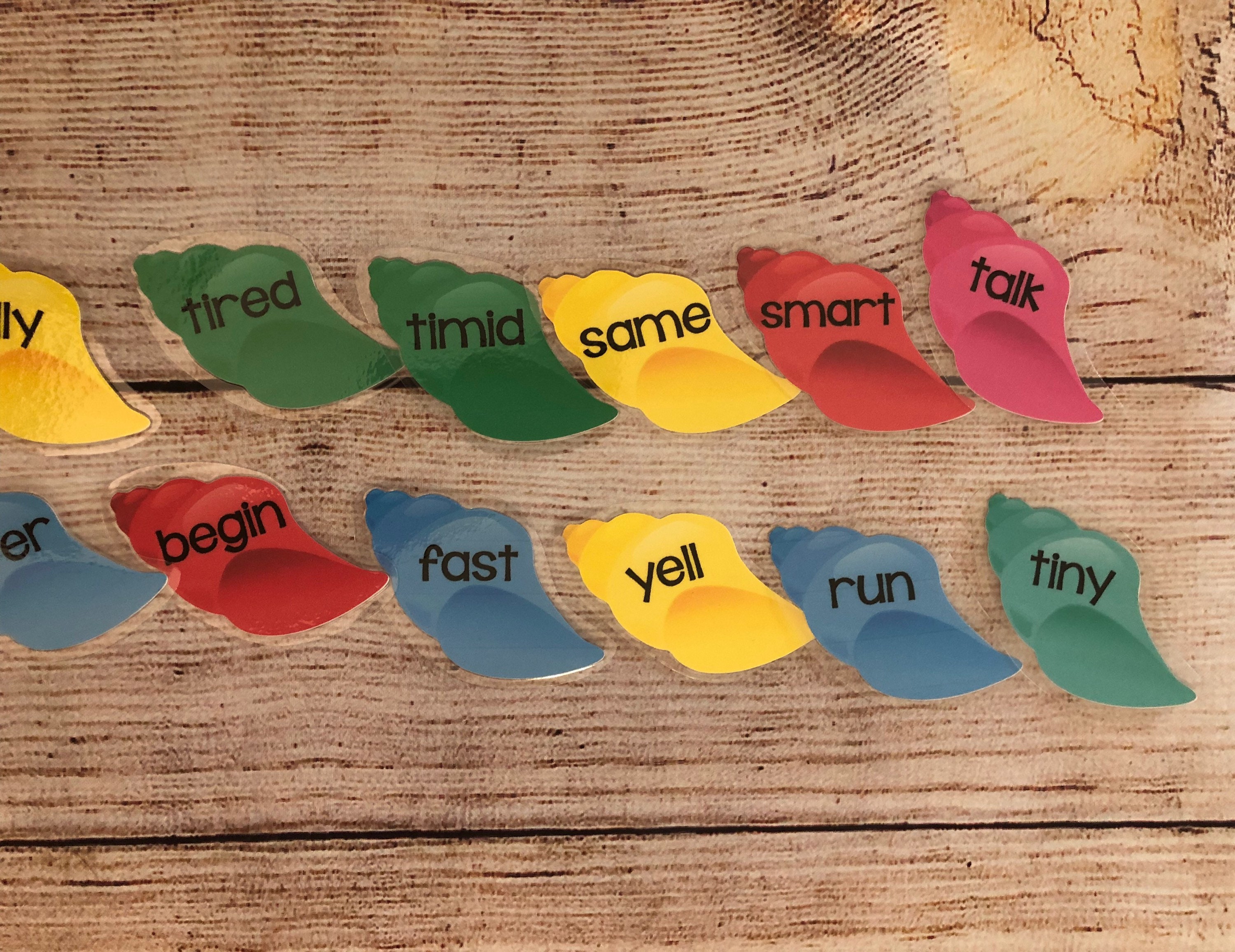 Seashell Synonyms Phonics Language Arts File Folder Game First - Etsy