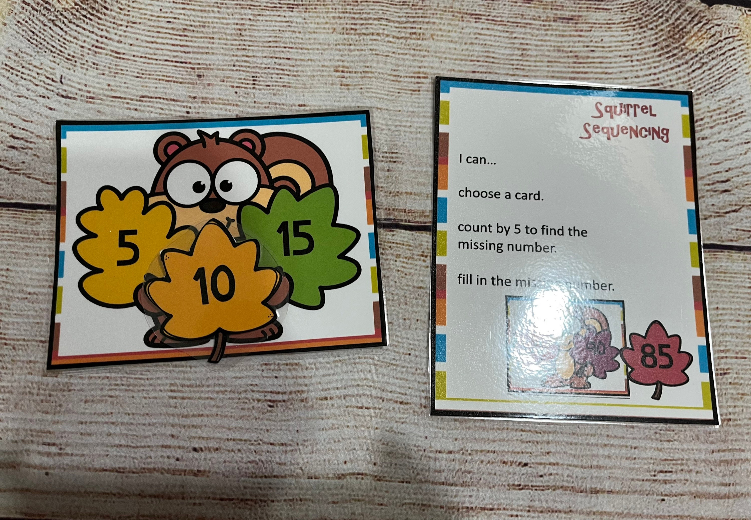 Squirrel Sequencing Count by 5 Number Sense Math First Second Grade ...