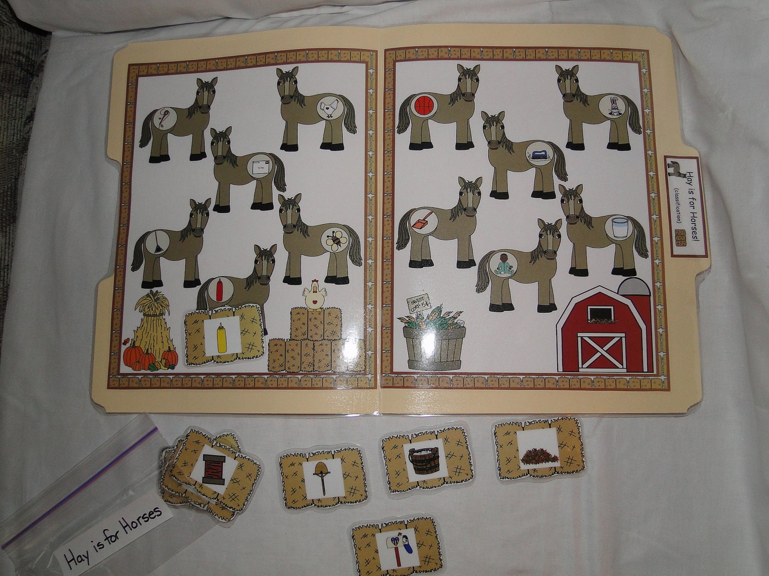 Literacy Center Laminated Classification File Folder Game Teacher ...