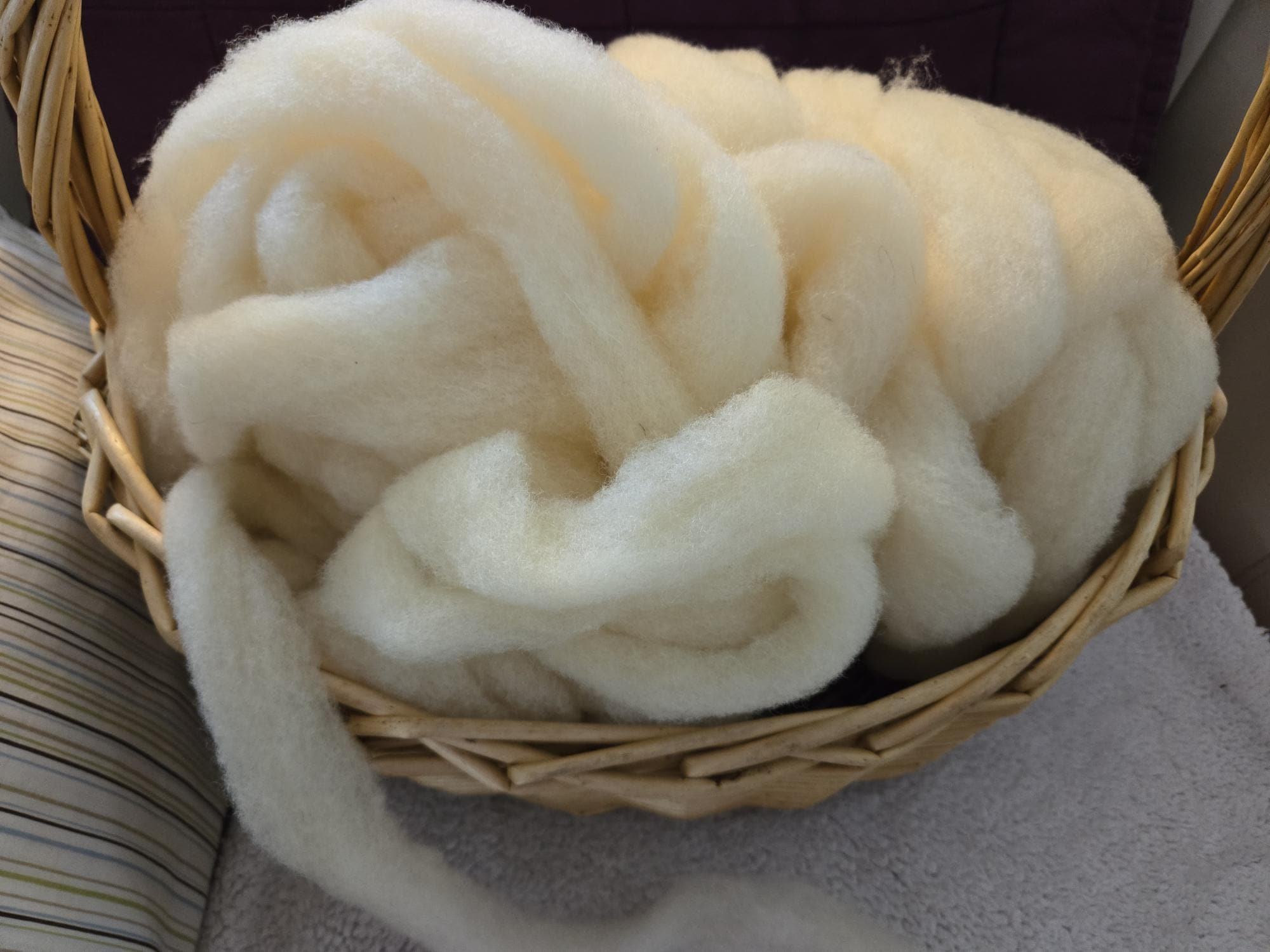 Wool Roving - Florida Cracker Wool 4 Oz. - Etsy