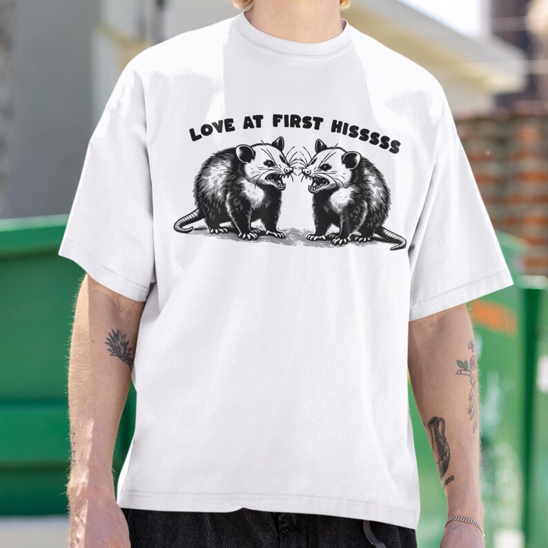 Camiseta Love at First Hisssss, Camisetas combinando para casais ...