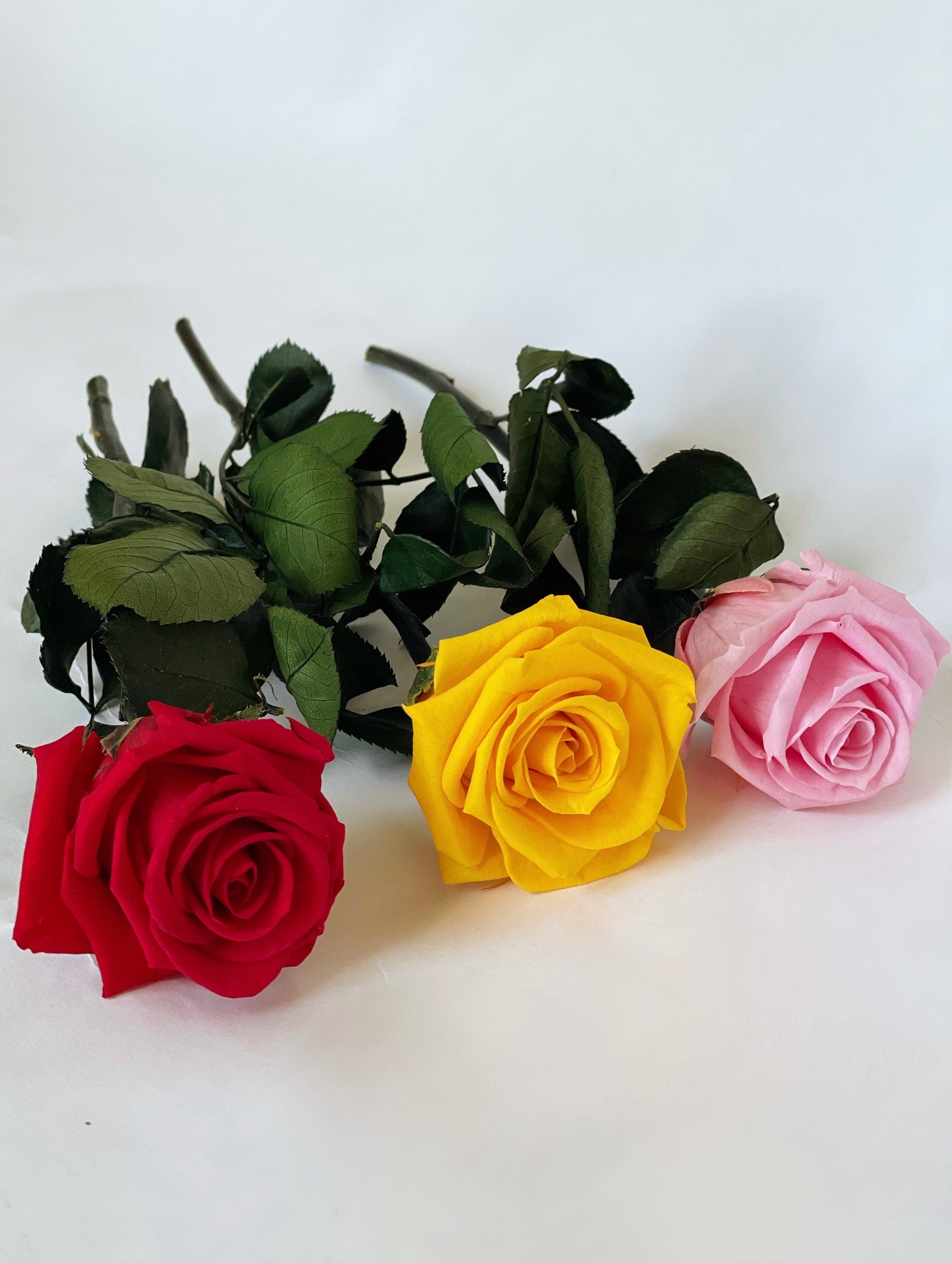 Preserved Rose With Stem I Preserved Rose for Anniversary I Forever ...