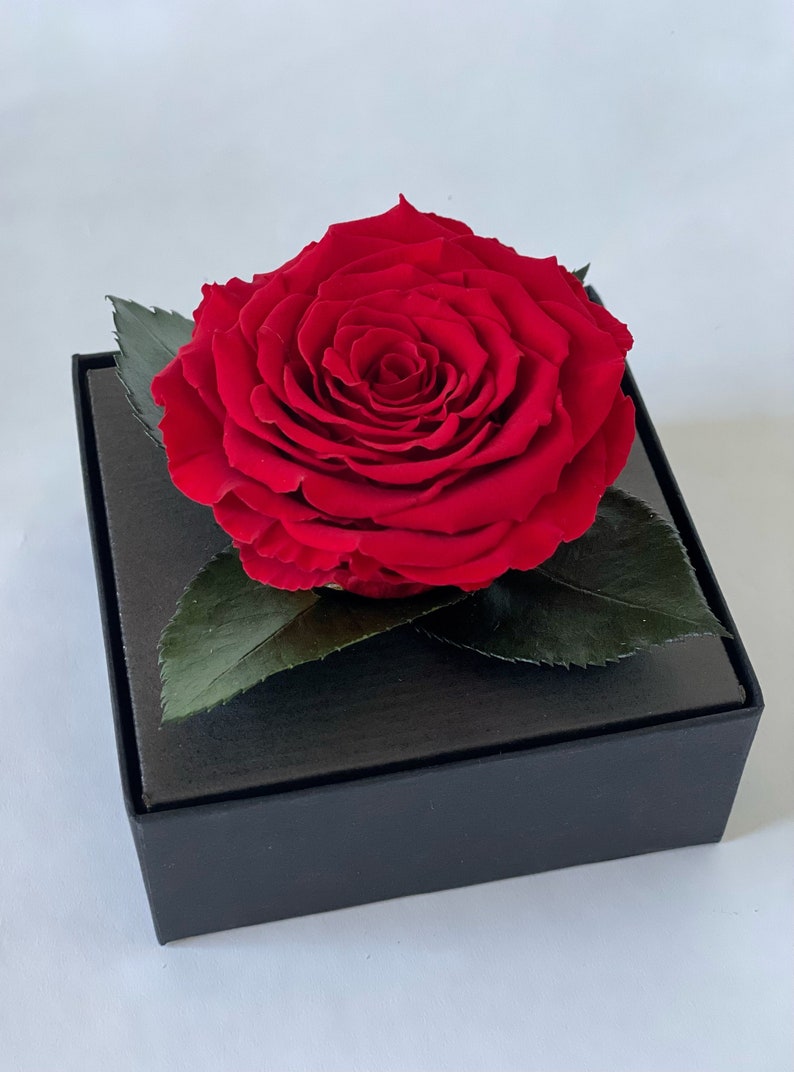 Preserved Red Rose in Luxury Box Real Forever Eternity Flower Romantic ...