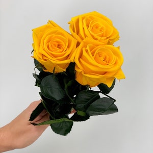 Preserved Rose With Stem I Forever Rose for Anniversary I Infinity Rose ...