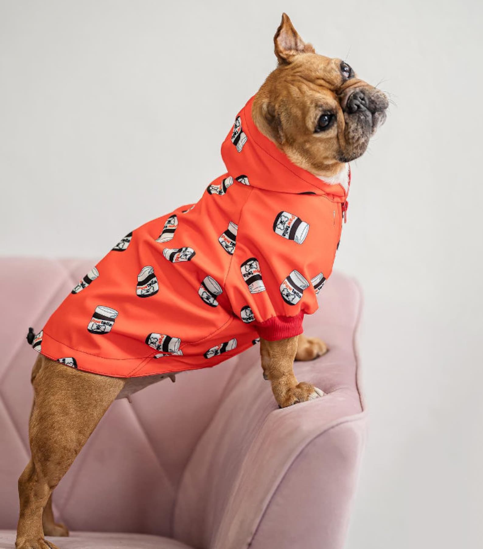 Discover Stylish Dog Clothes and Harness at Havinoshop.keep Your Best ...