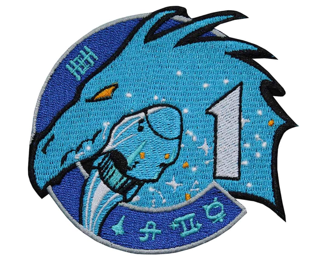 Spacex Crew-1 Patch, Space Mission Patch, Space Embroidery, Spacex ...