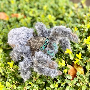 Jumping Spider Plushie, Handmade Fluffy Cute Spider Plush, Gray ...