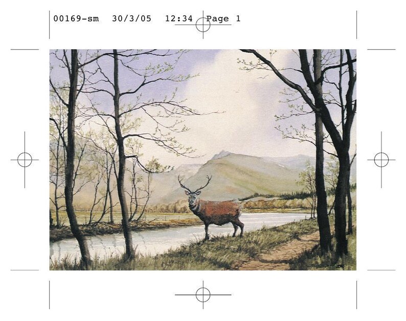 Stag by John Holmes - Etsy UK