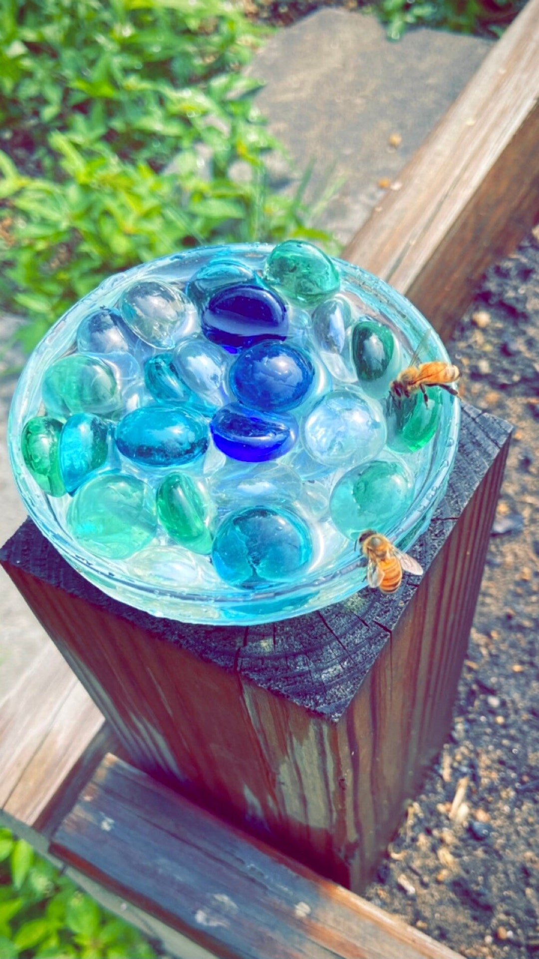 Bee Water Bowl / Drown Resistant / the Bee Bubbler / Great for Gifting ...