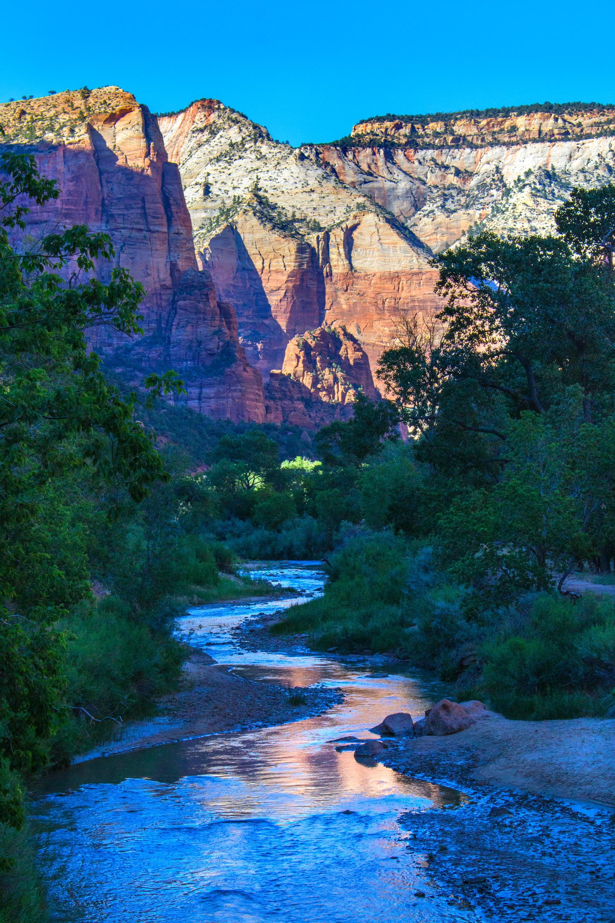 Zion Oasis, Zion National Park | Virgin River Landscape Photography ...