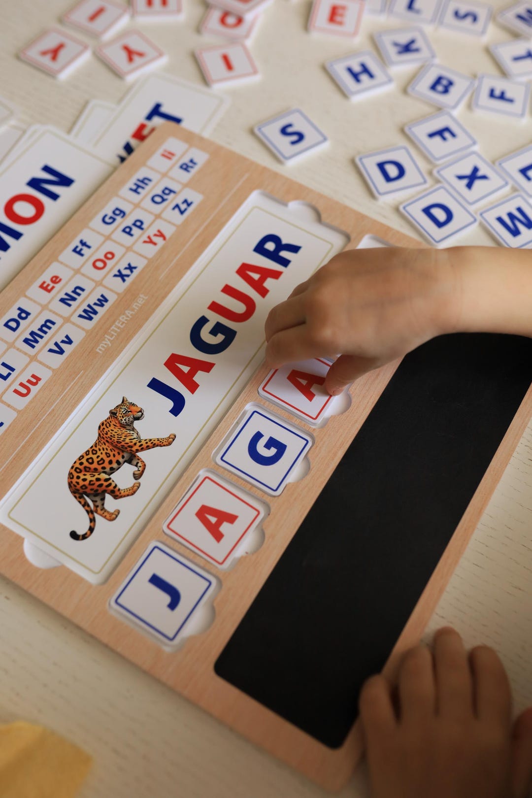 Montessori Letters Learning Kit - English Education - Etsy